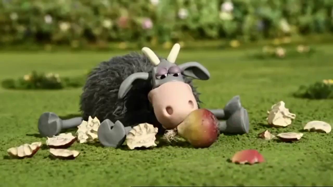 NEW Shaun The Sheep 2017 ️ Best Cartoon for kids ️ The newest ...