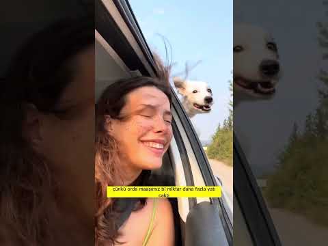 İstifa edip Muğla’ya göç ettik