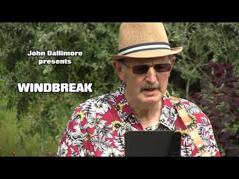 Windbreak by John Dallimore - YouTube
