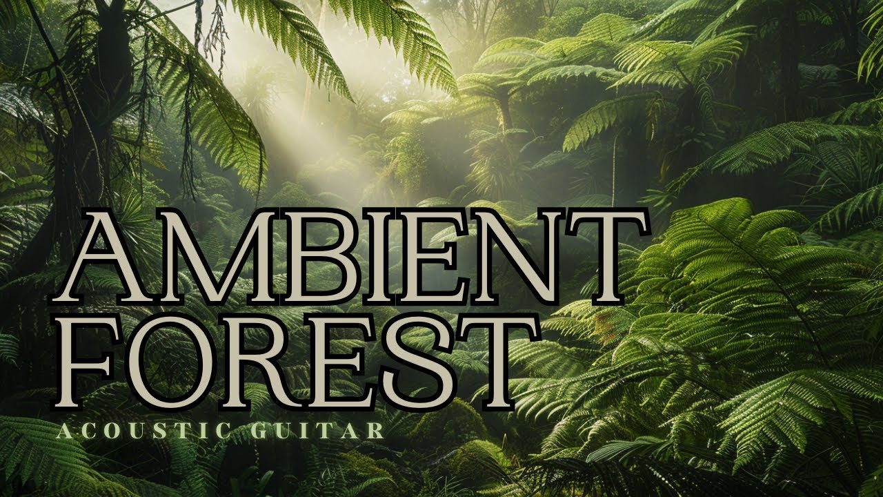 AMBIENT FOREST - Acoustic Guitar - Calm & Mellow | 1-HOUR - YouTube