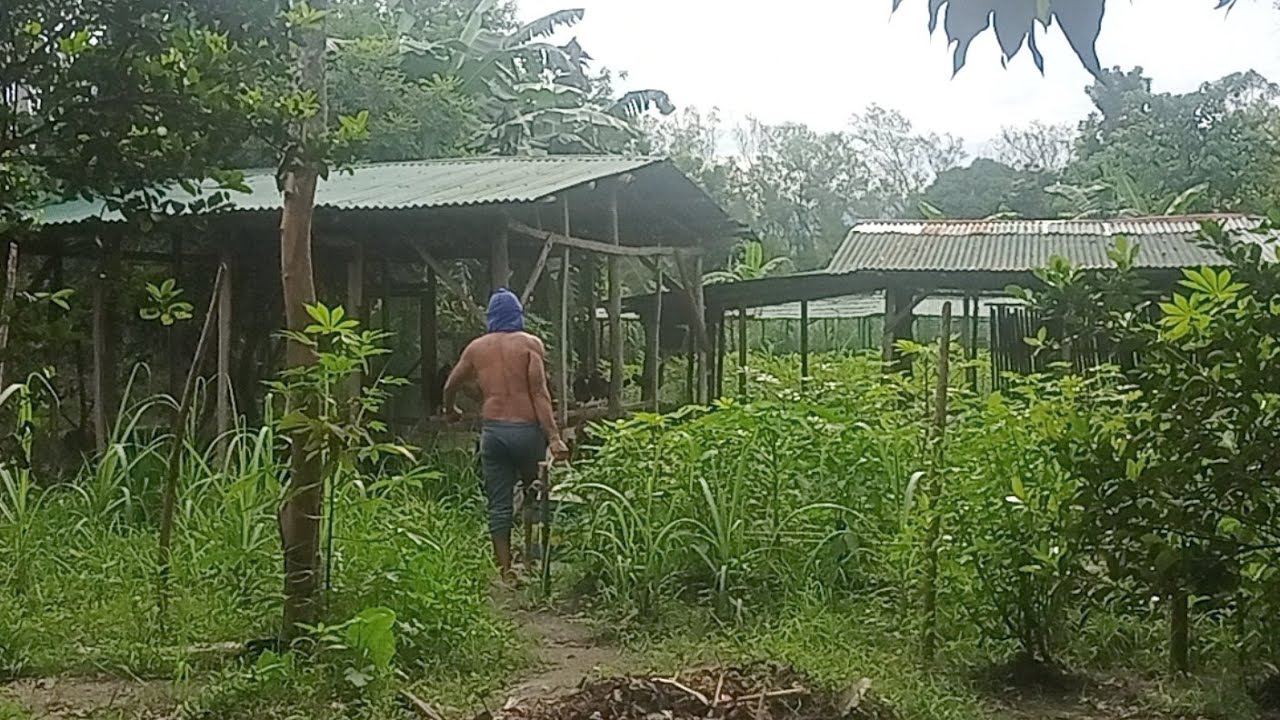 bataan farm guys thank u s support - YouTube