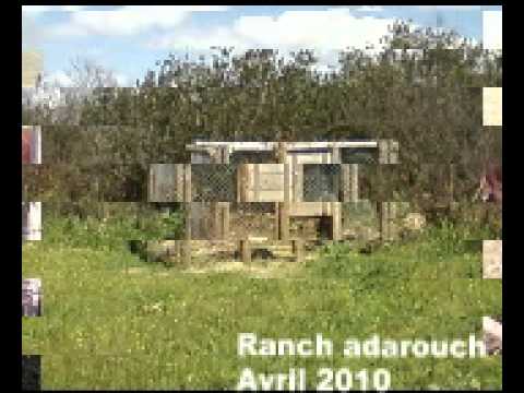 Ranch Adarouch Avril 2010 - YouTube