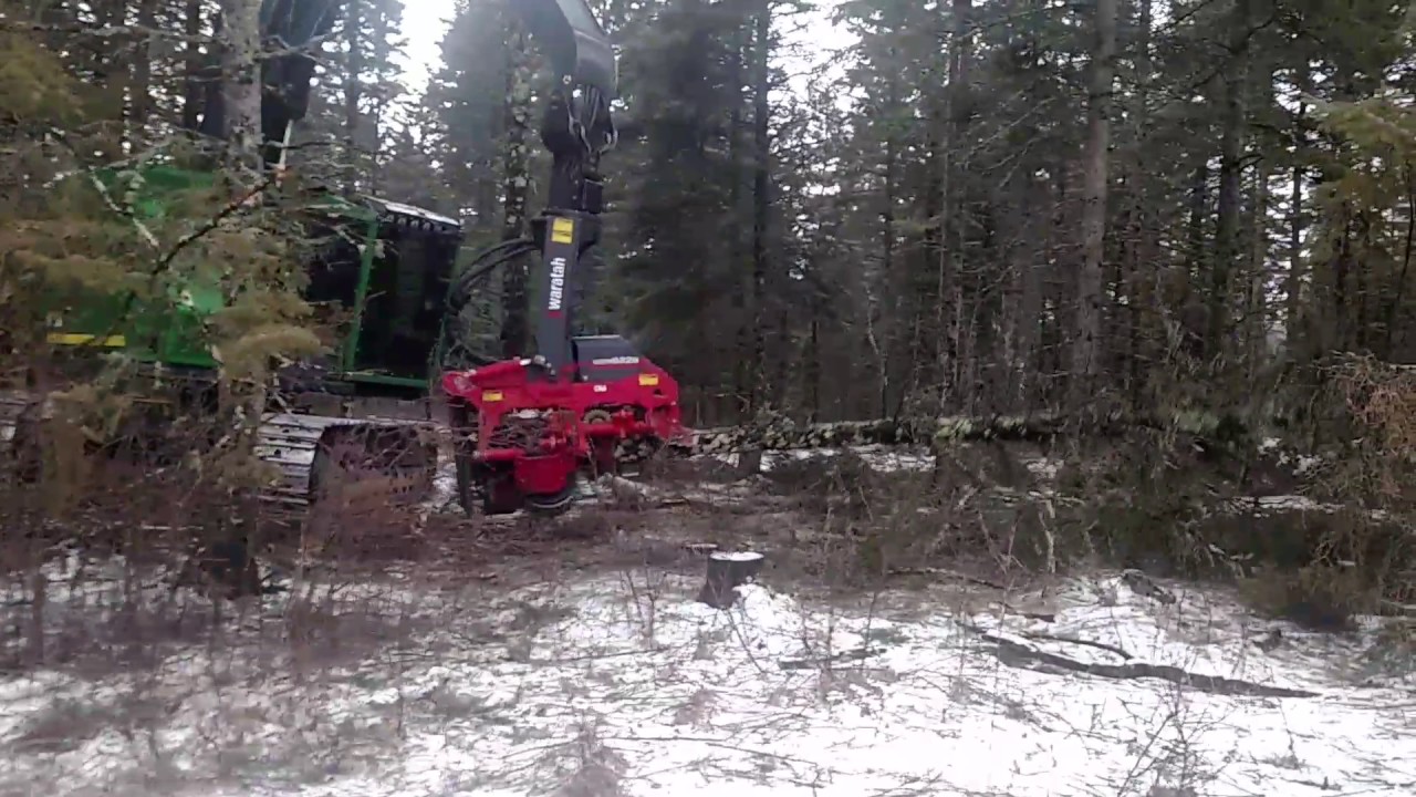 Deere 803MH with Waratah 622B- Hill Logging. - YouTube