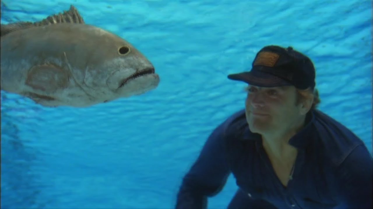 SUPER FUZZ 1980 (aka Super Snooper) - YouTube