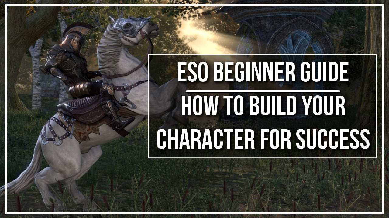 ESO Beginner Guide - How to Build Your Character for Success - YouTube