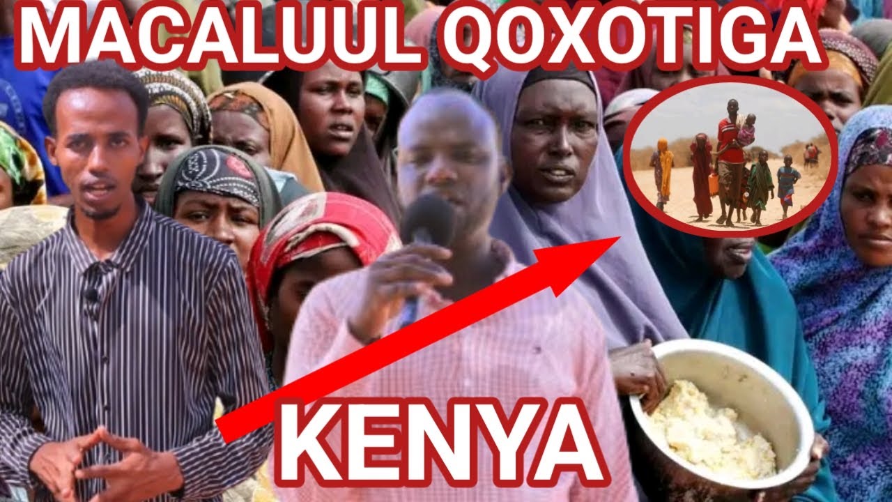 Xeeryaha Qoxotiiga Dadaab ee Dalka Kenya oo Wajahay Xalad Adag iyo ...