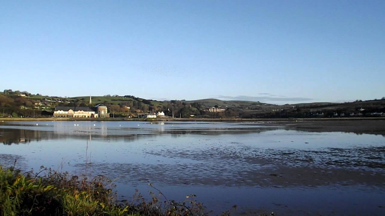 Starlings swarming over the lagoon in Rosscarbery West Cork Ireland ...