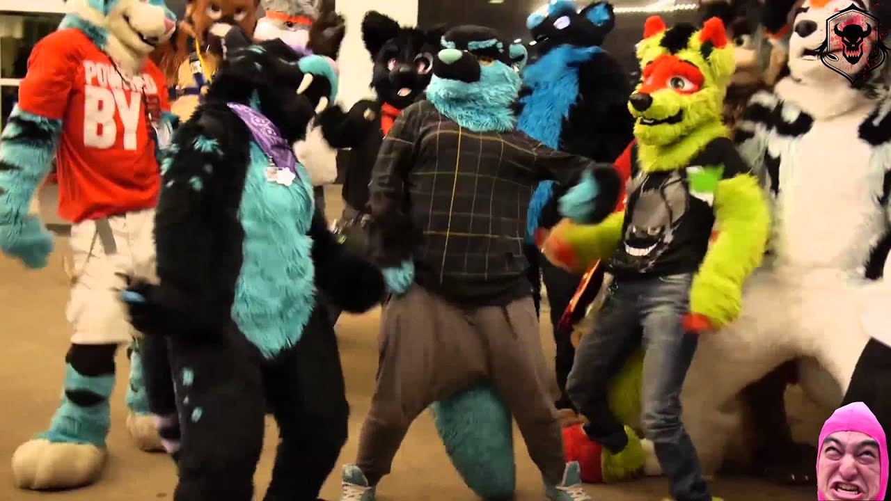 FURRY CANCER 3 - YouTube
