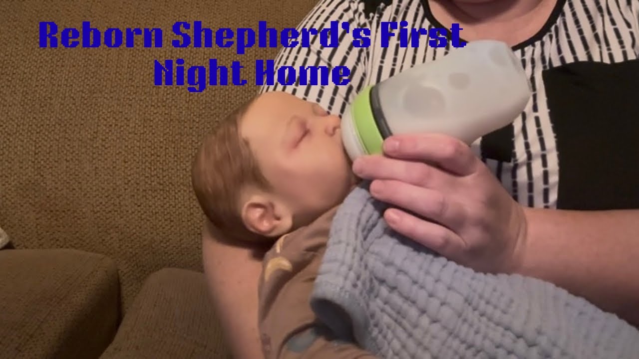 Reborn Shepherd Tate’s First Night Home #rebornhobby #roleplay # ...