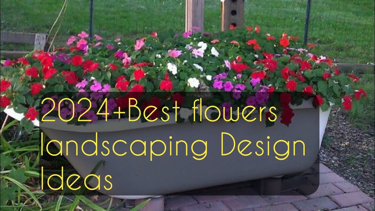2024+ Best flowers landscaping Design Ideas 🌱 - YouTube