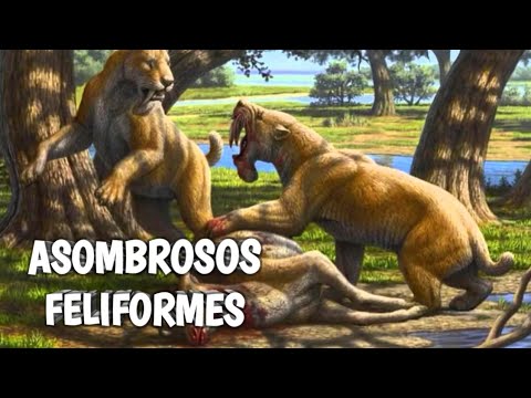 🦁Conoce TODAS las familias de FELIFORMES (actuales y extintos) 🐆 - YouTube