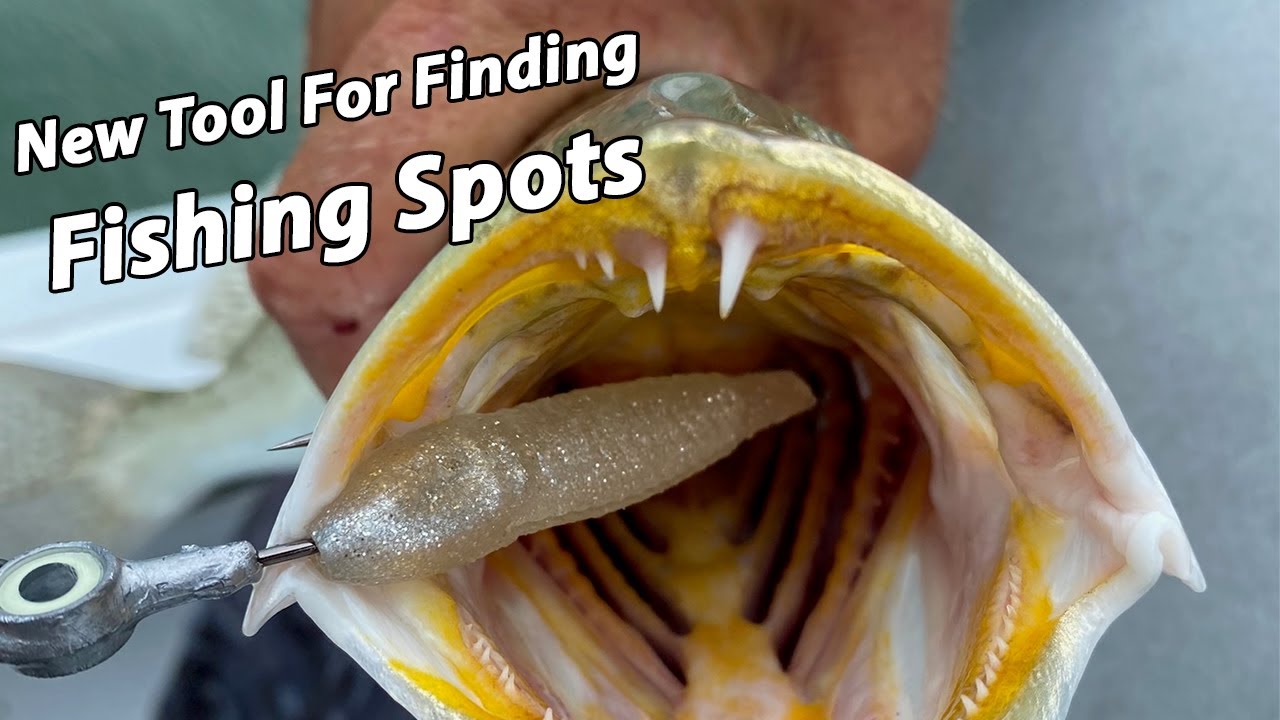 Fishing Strike Spots: New Tool That Predicts Inshore Feeding Zones ...