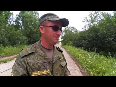 а я думал сова!