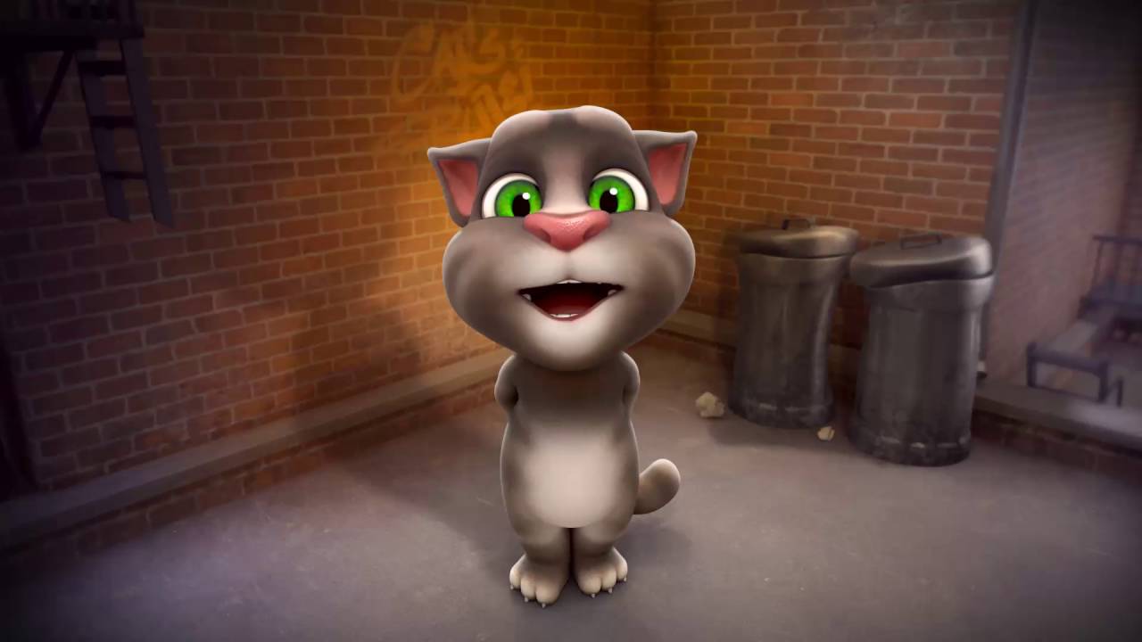 Ben ve Konuşan Kedi Tom - YouTube