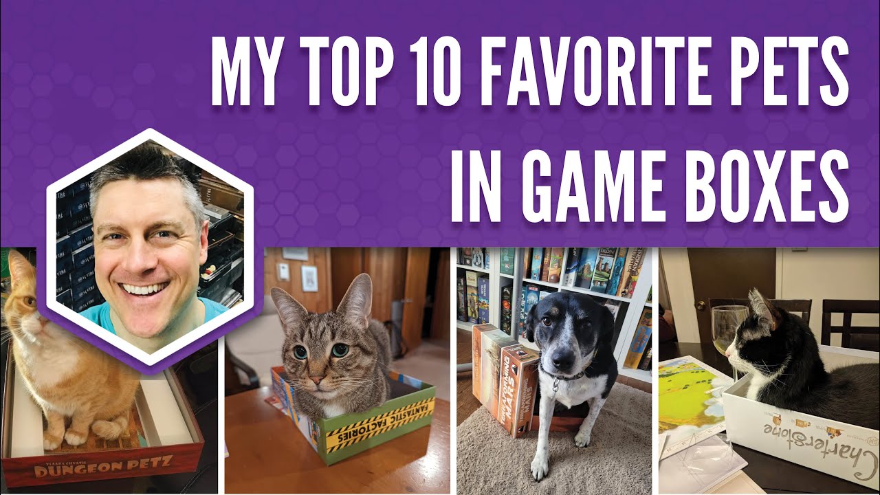 My Top 10 Favorite Pets in Game Boxes - YouTube
