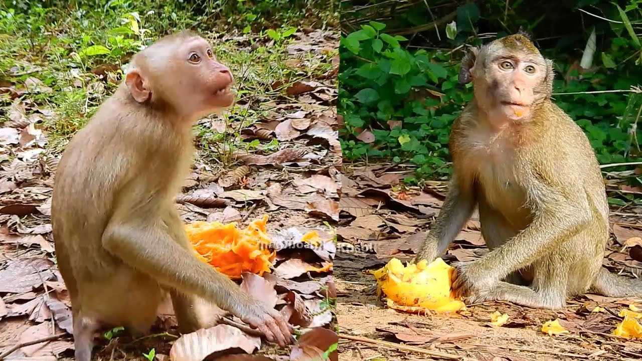 Popoy and LaUY WITH MORE KIDS HAVING FOOD 🥭 💖💝😍🌹🍉💕 - YouTube