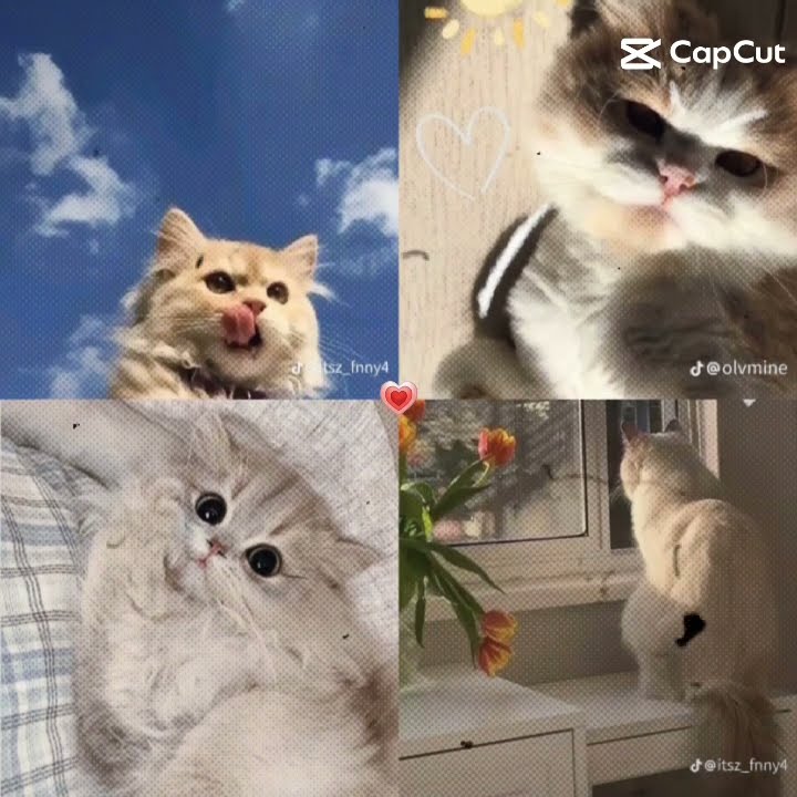 This is my cute memory cute♥️♥️ - YouTube