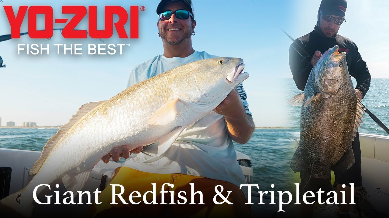 SUPERBRAID WHITE｜Superbraid｜YO-ZURI｜PRODUCTS｜YO-ZURI