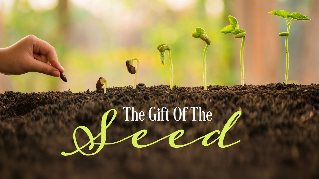 Sunday Service | The Gift Of The Seed | Pastor Noeleen Smerdon - YouTube
