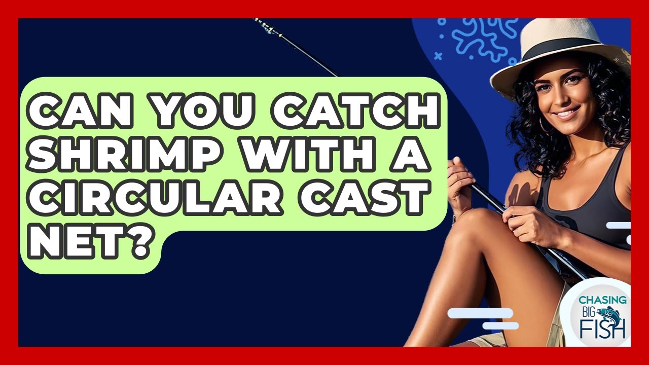 Can You Catch Shrimp With A Circular Cast Net? - Chasing Big Fish - YouTube