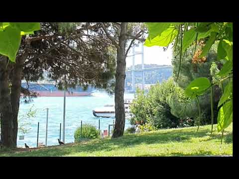 Nazım Hikmet -Tahirle Zühre Meselesi (Oğuz Poyraz)