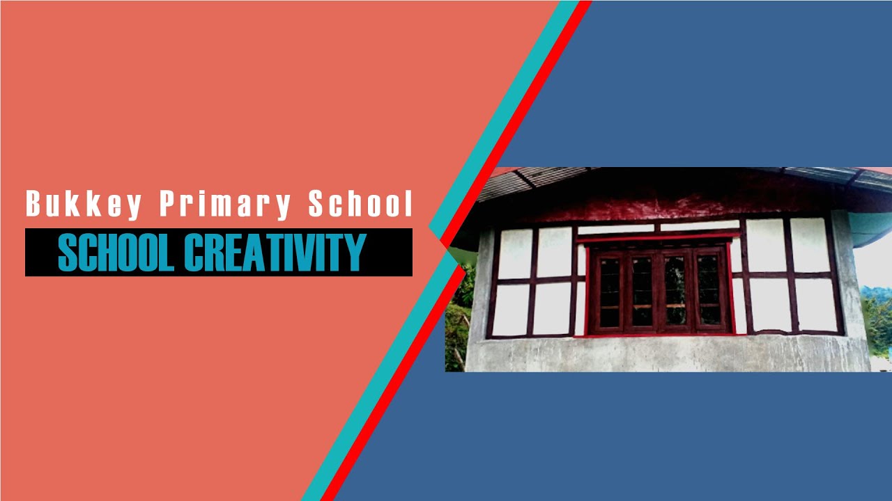 Bukkey Pramiry School in Samtse got unique creativity for visual ...