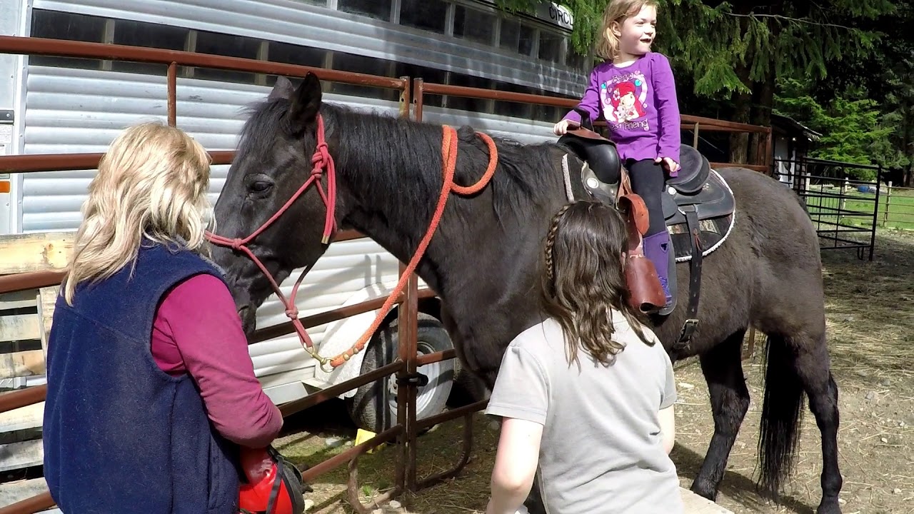 Our first time riding a horse - YouTube