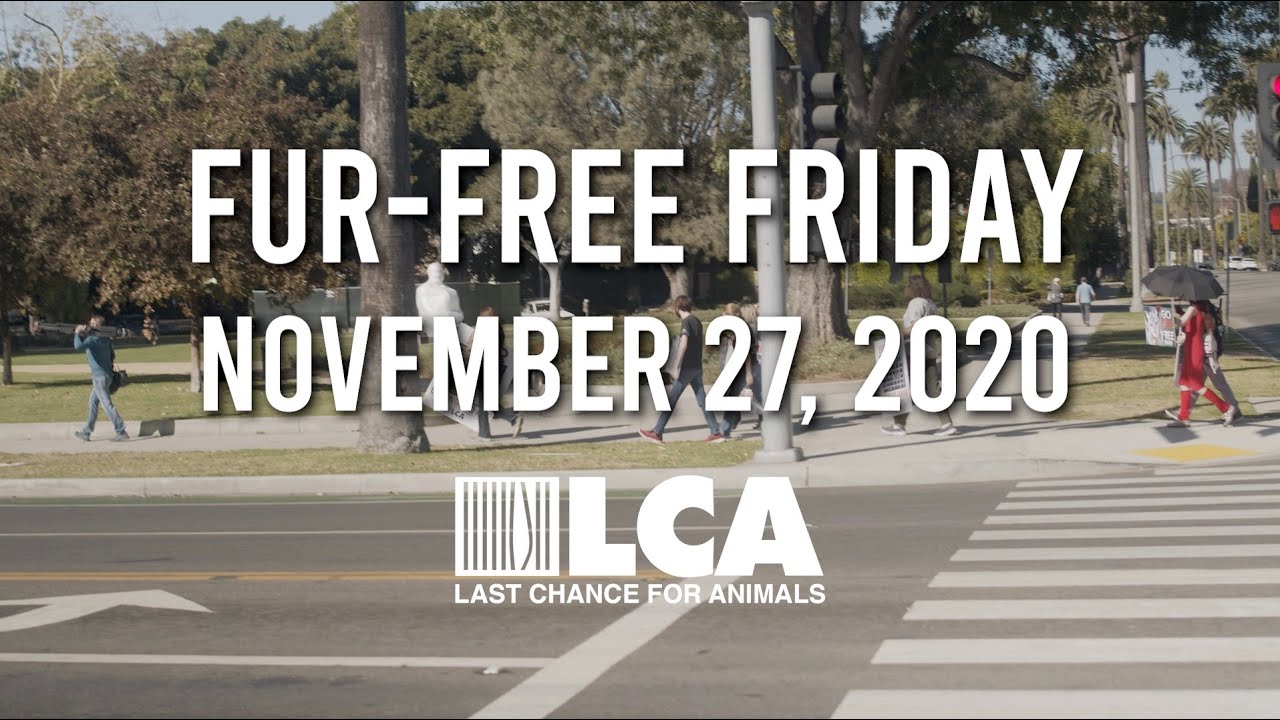 2020 Fur Free Friday Protest - YouTube