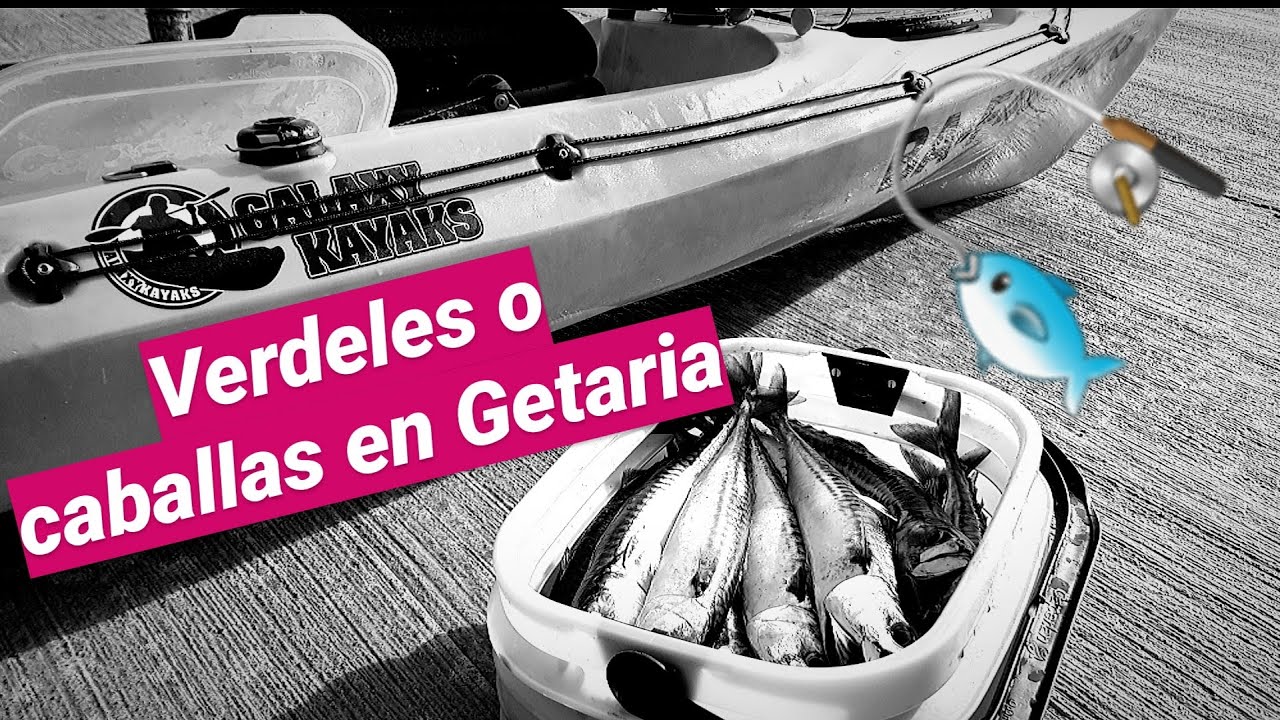 LA PESCA DEL VERDEL O CABALLA 🎣 🎣 🎣 - YouTube