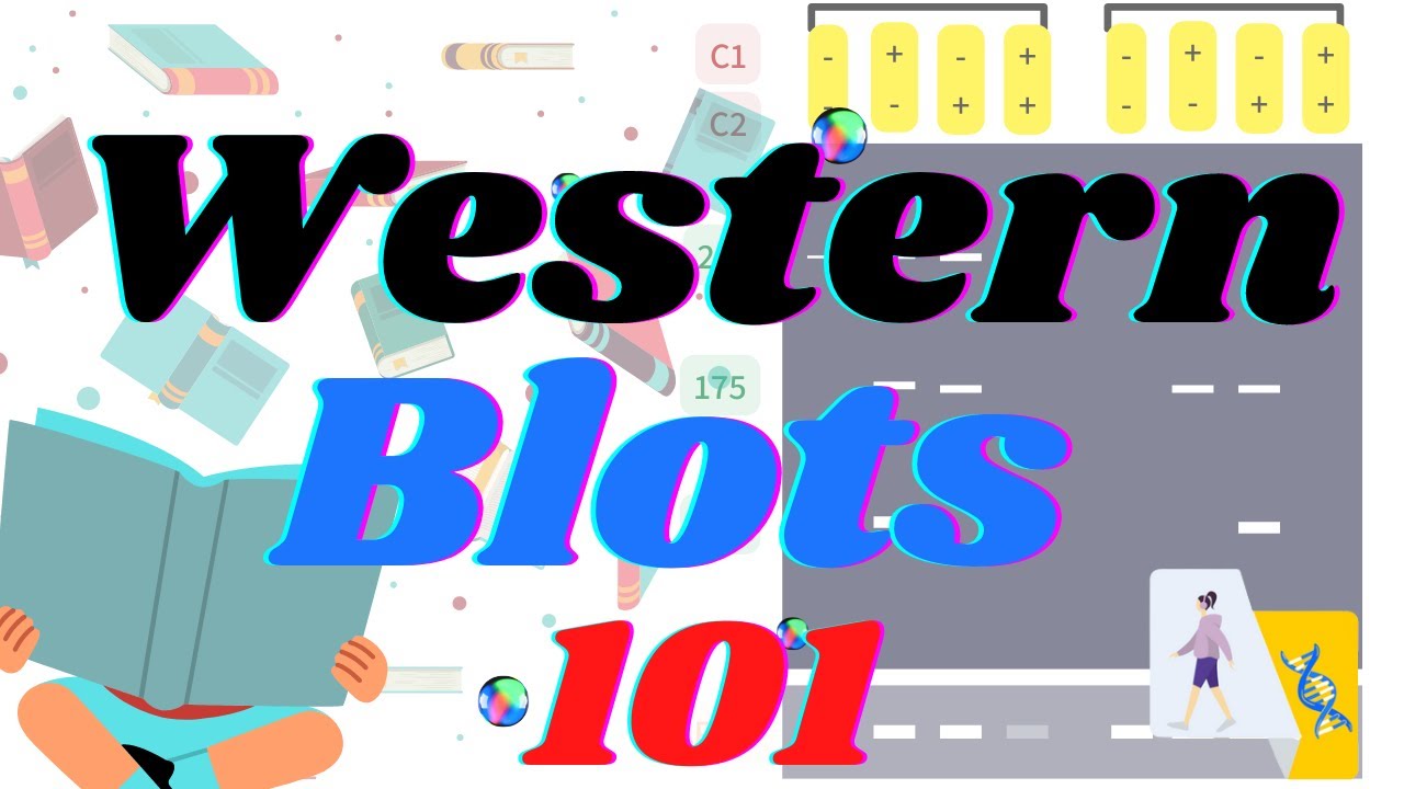 How to read a Western Blot || 𝔻𝕒𝕥𝕒 𝕚𝕟𝕥𝕖𝕣𝕡𝕣𝕖𝕥𝕒𝕥𝕚𝕠𝕟 𝕊𝕖𝕣𝕚𝕖𝕤 - YouTube