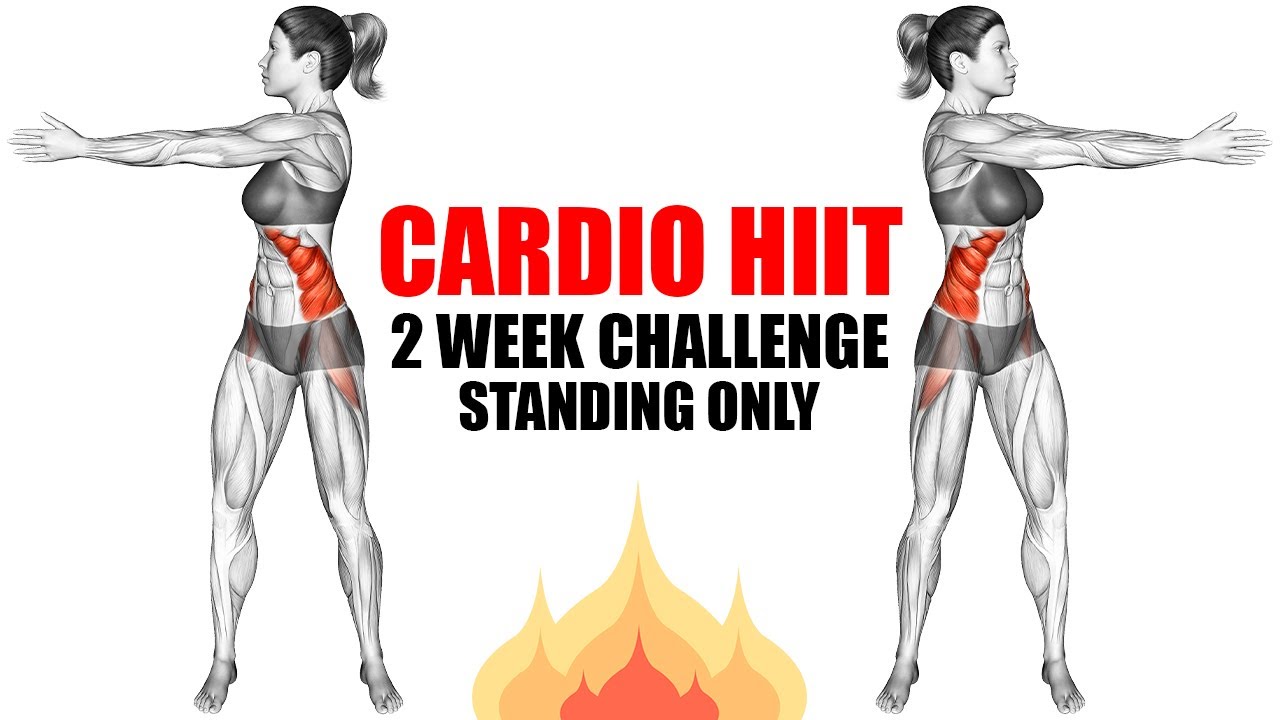 KNEE FRIENDLY FULL BODY EXERCISE TO BURN FAT FAST 2W CHALLENGE No ...