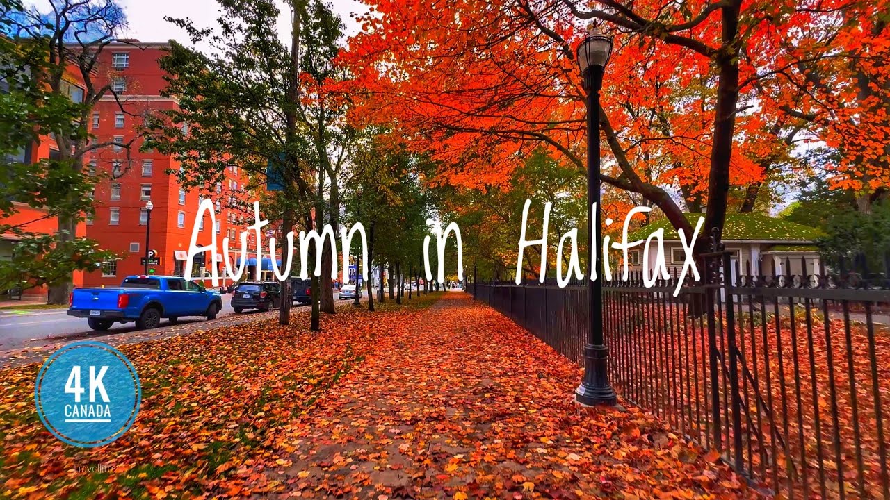 Autumn🍂 Walk in Halifax NS. Canada🇨🇦 | Spectacular Fall foliage ...