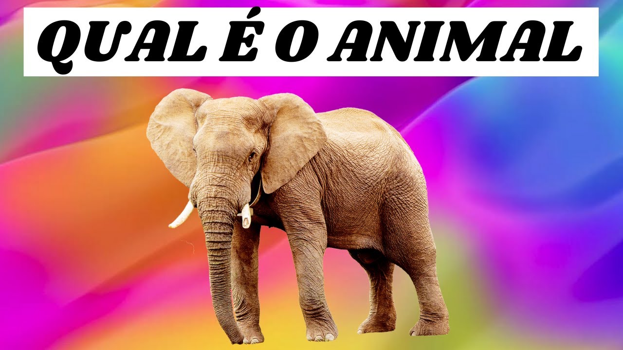 QUAL É O ANIMAL, Escolhe o Animal, Teste o seu conhecimento, Quiz Mania ...