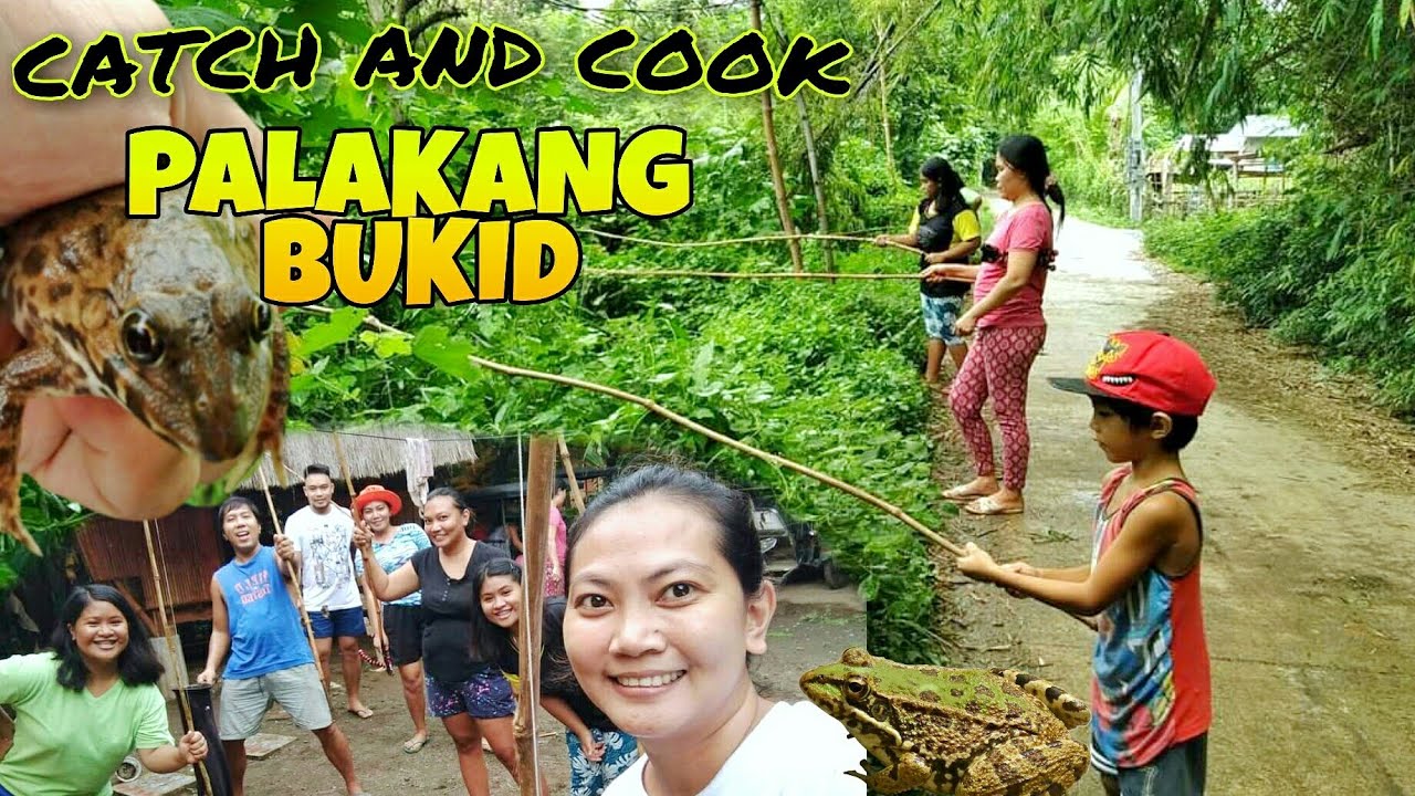 FROG HUNTER 🐸I MAMINGWIT NG PALAKANG BUKID + LIGO SA ILOG | Buhay ...