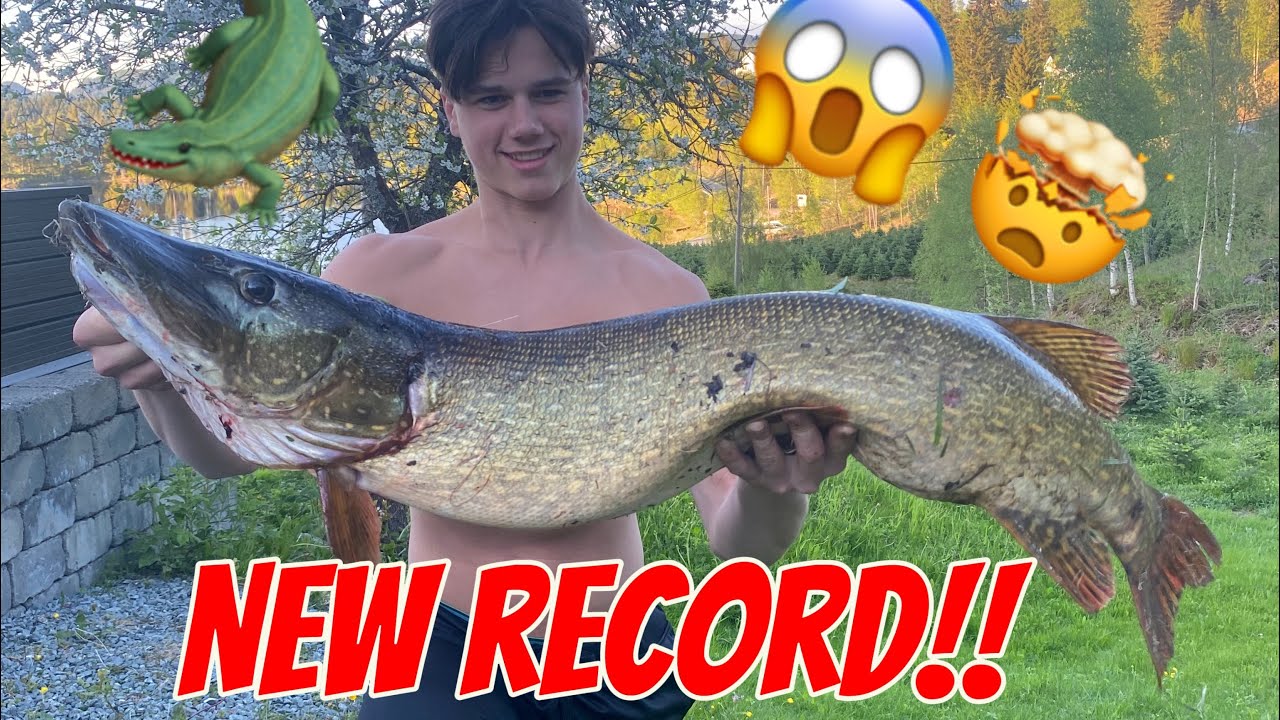 Massive monster pike takes the bait - watch the insane fight - YouTube