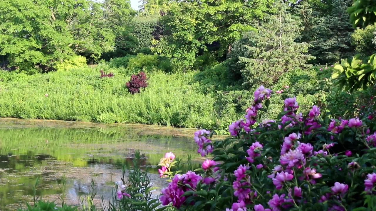 Get An Inside Look At How The Chicago Botanic Garden Efficiently Waters ...