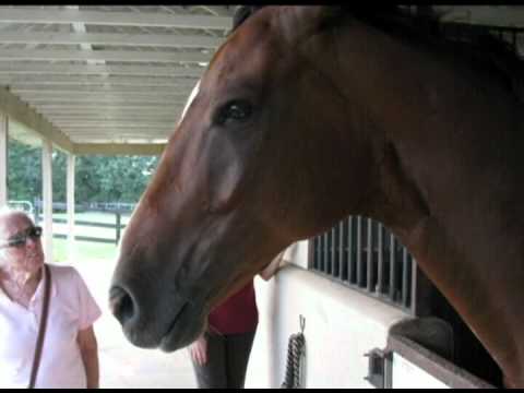 FRANCES CHISHOLM STILL SMILING BUT NOW WITH HER HUSBAND IN HEAVEN - YouTube