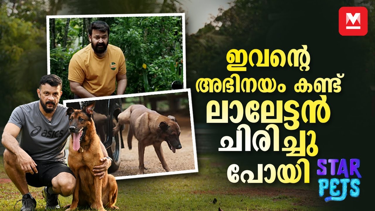 തുടരും സിനിമയിലെ ലാലേട്ടന്റെ നായ | Star Pets | Thudarum Movie Dog - YouTube