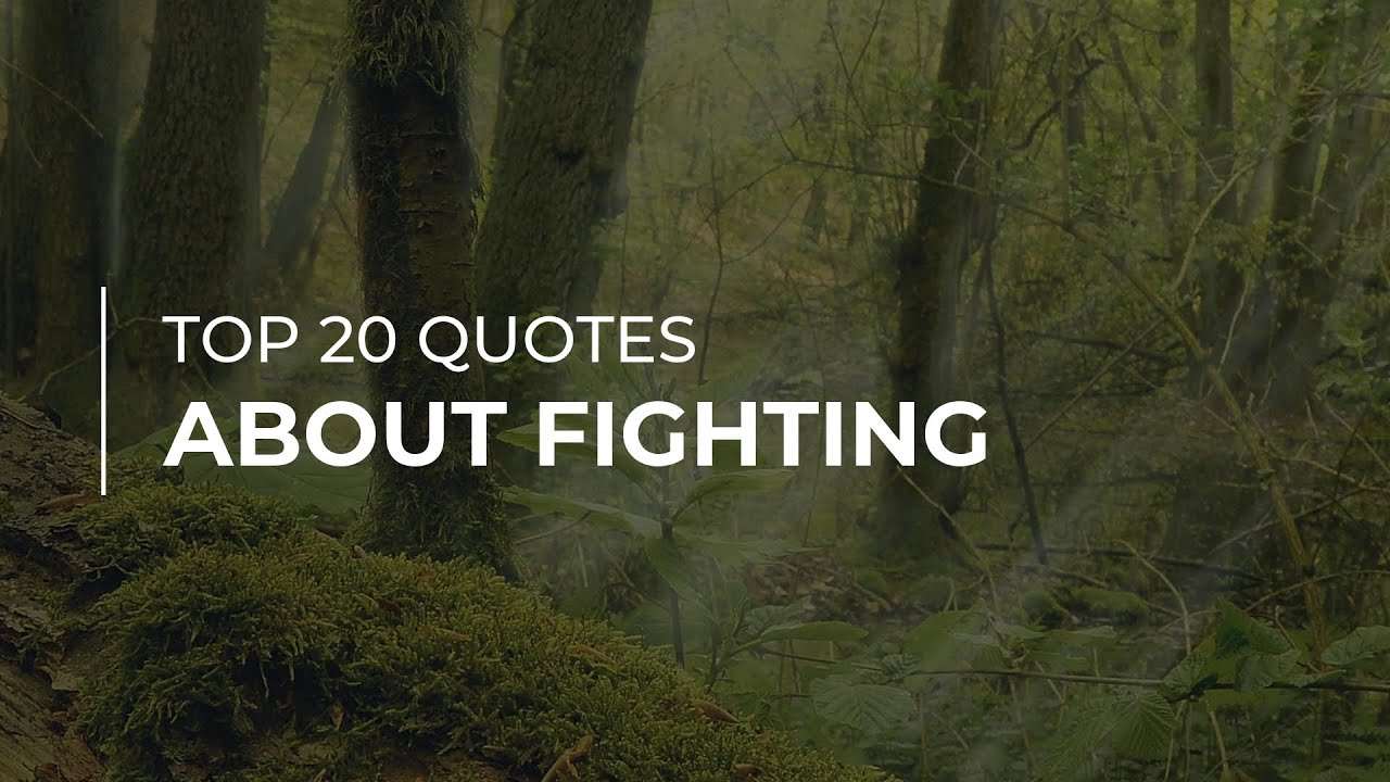TOP 20 Quotes about Fighting | Quotes for Whatsapp | Most Famous Quotes ...