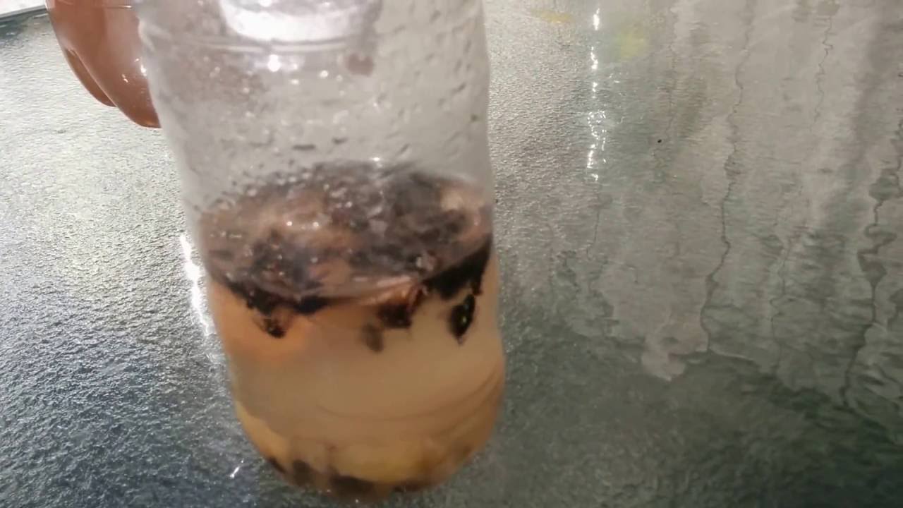 Cheap and easy fly traps. - YouTube