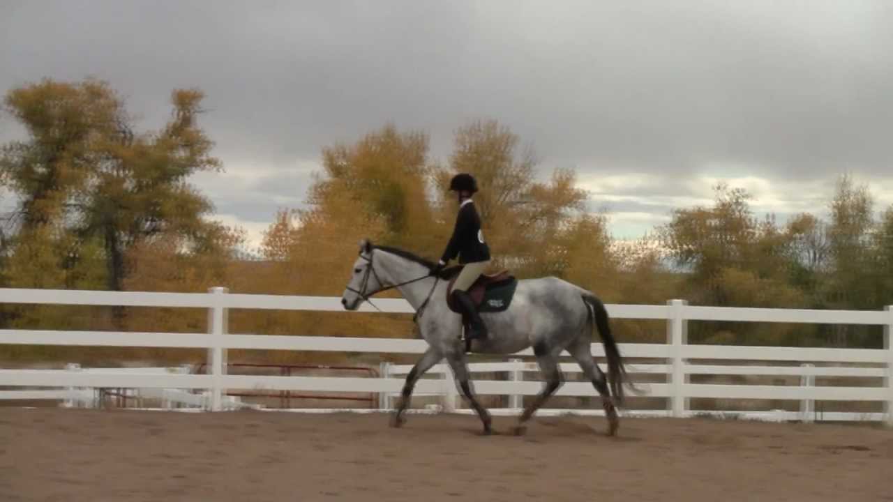 IEA Junior Novice o/f cross-rails - YouTube