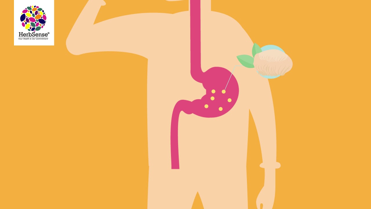 Herbsense® Smart Gut Powder - YouTube