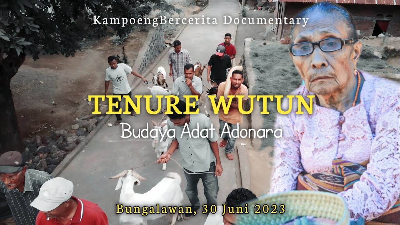 Akhir Dari Proses Adat Pemberian Belis Budaya Adonara ( TENURE WUTUN ...