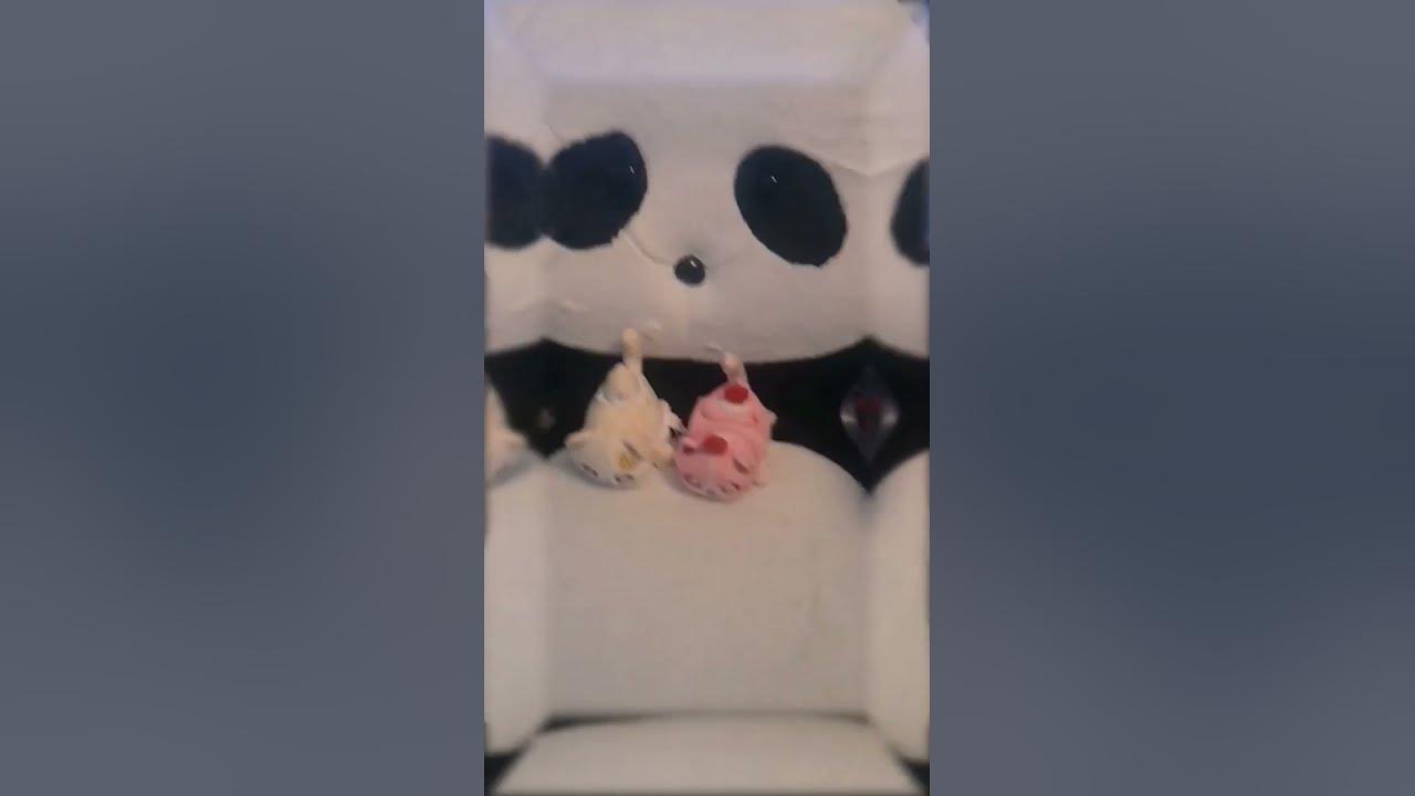 My Kittys Youtube