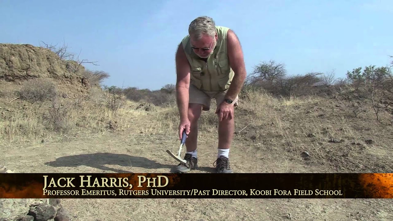 Origins of Fire - YouTube