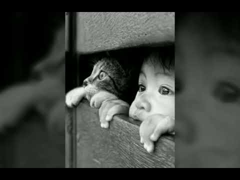 Ağlatan Fon Müziği