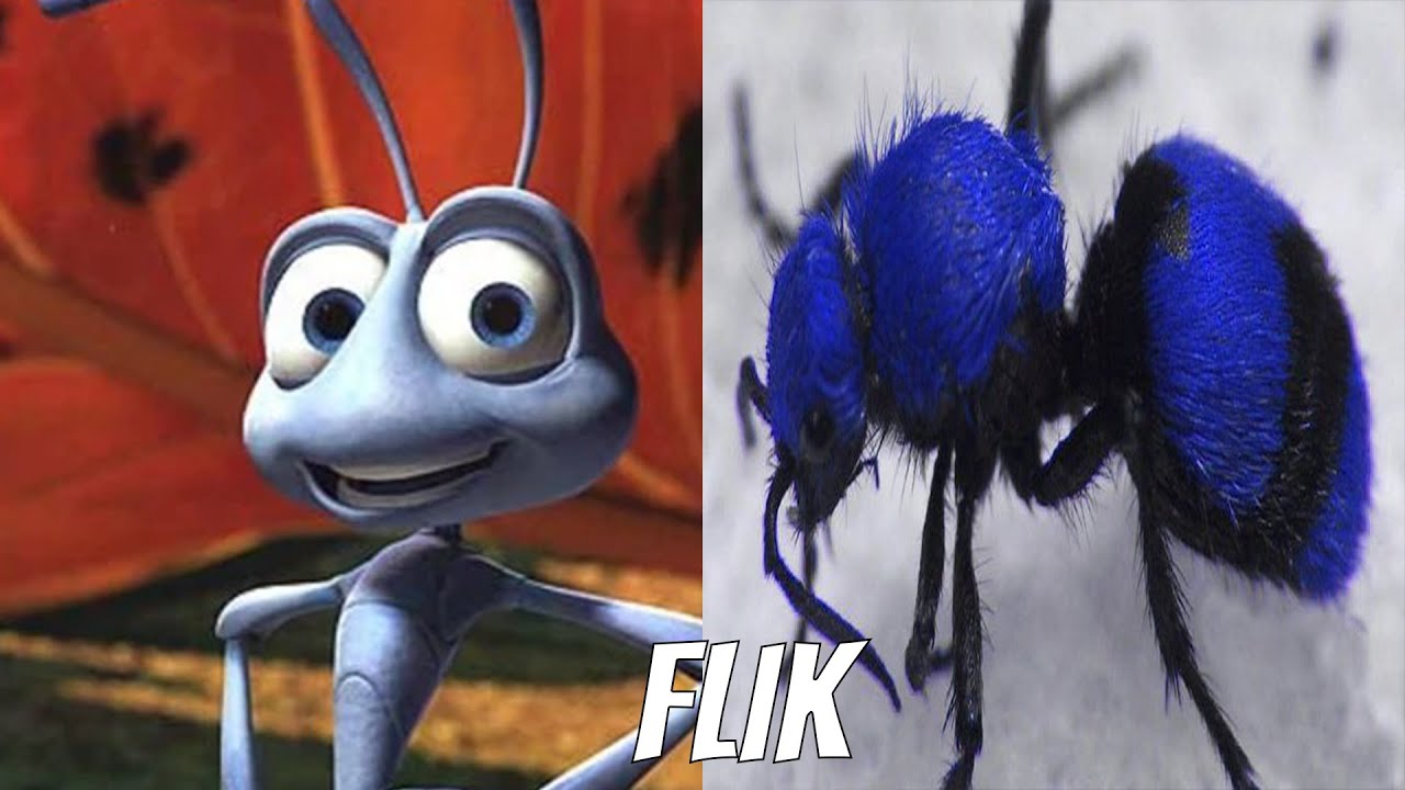 A Bug's Life Characters in Real Life - YouTube