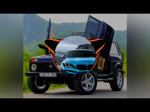 Azeri bass- cornim delfin