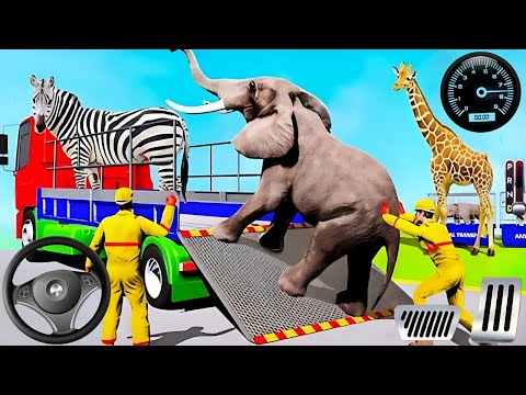 US Animal Cargo Truck Driving Game 3D - Animal Transport Cargo Truck 2024 - Andriod Gameplay