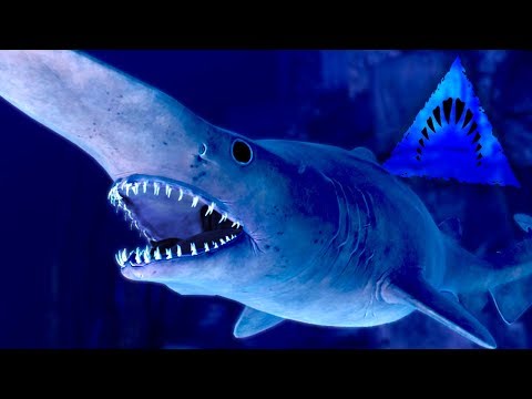 THE GOBLIN SHARK UNLOCKED!!! - Depth | Ep16 HD